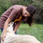 Monique Udell, PhD - e-Training for Dogs