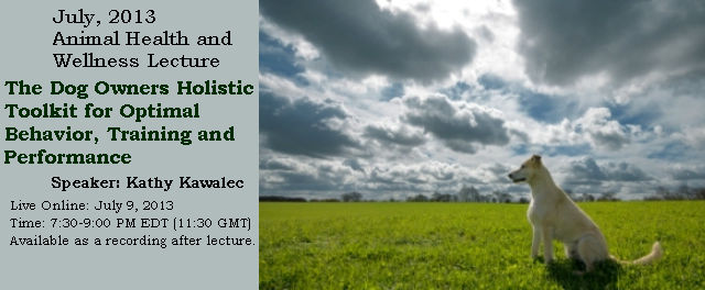 Holistic Toolkit for Dogs-Better Behavior, Training, Performance